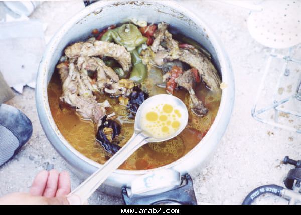 Sunnah of the Dhab Lizard Delicacy | MuslimMatters.org