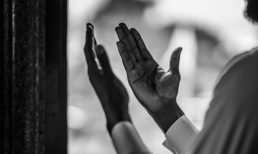 Undisputed And Undefeated: 13 Ways Khabib Nurmagomedov Inspired Us To ...