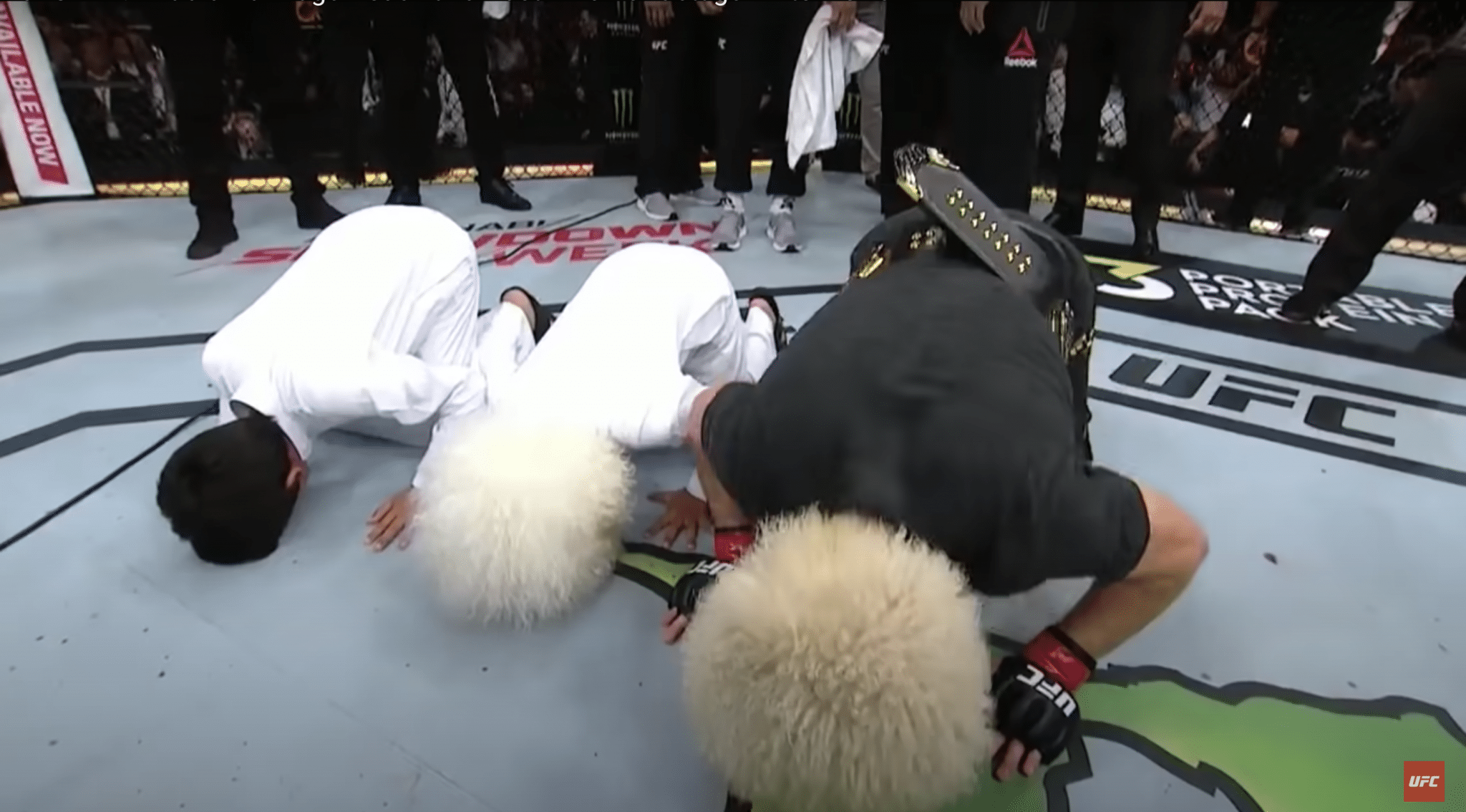 Undisputed And Undefeated: 13 Ways Khabib Nurmagomedov Inspired Us To ...